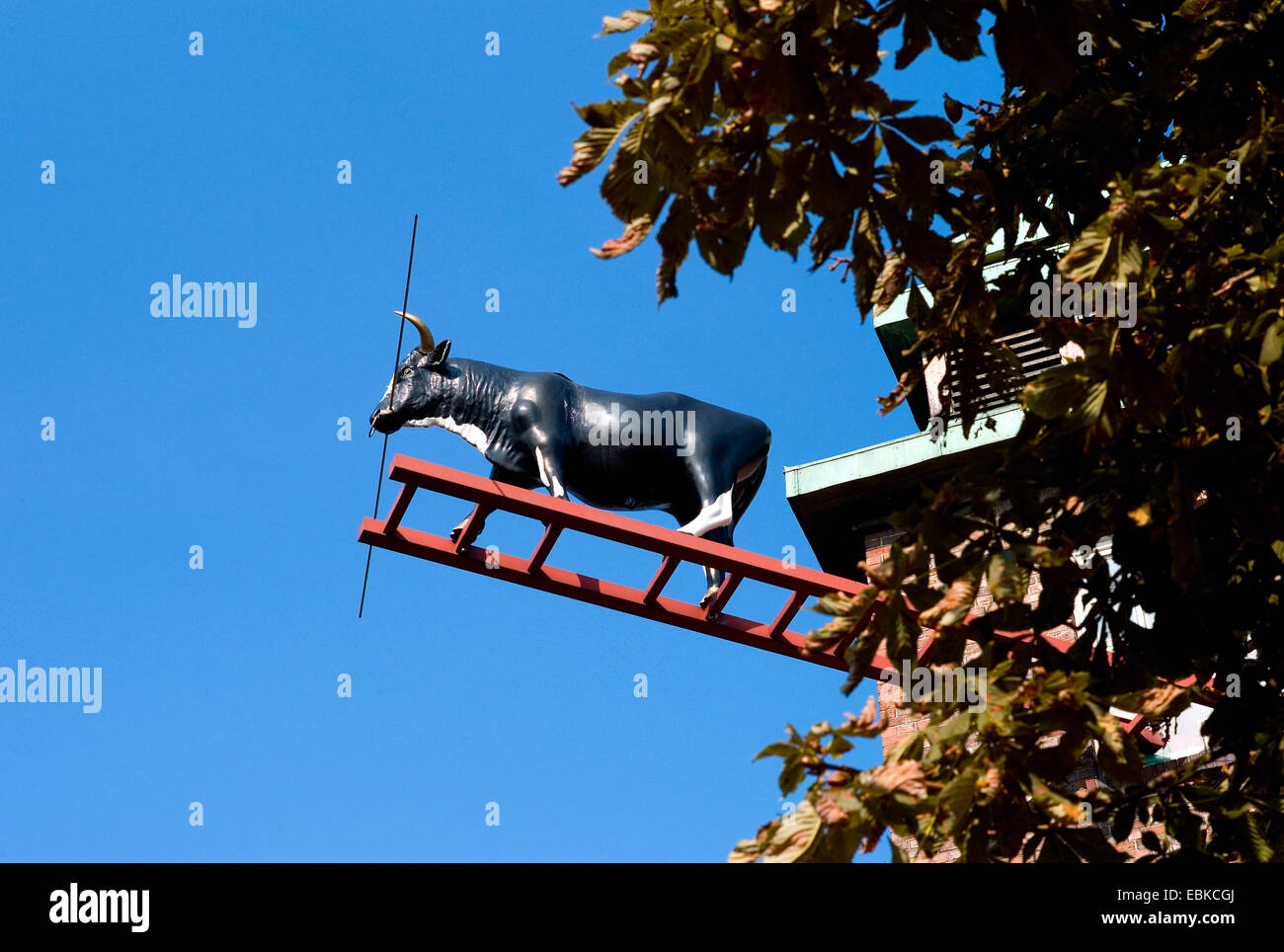 plastic skulpture of the bull (heraldic animal for the traditional ...
