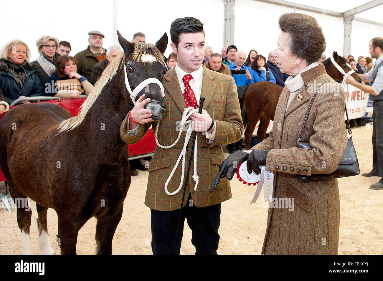 Visits the royal welsh showground hi-res stock photography and images ...
