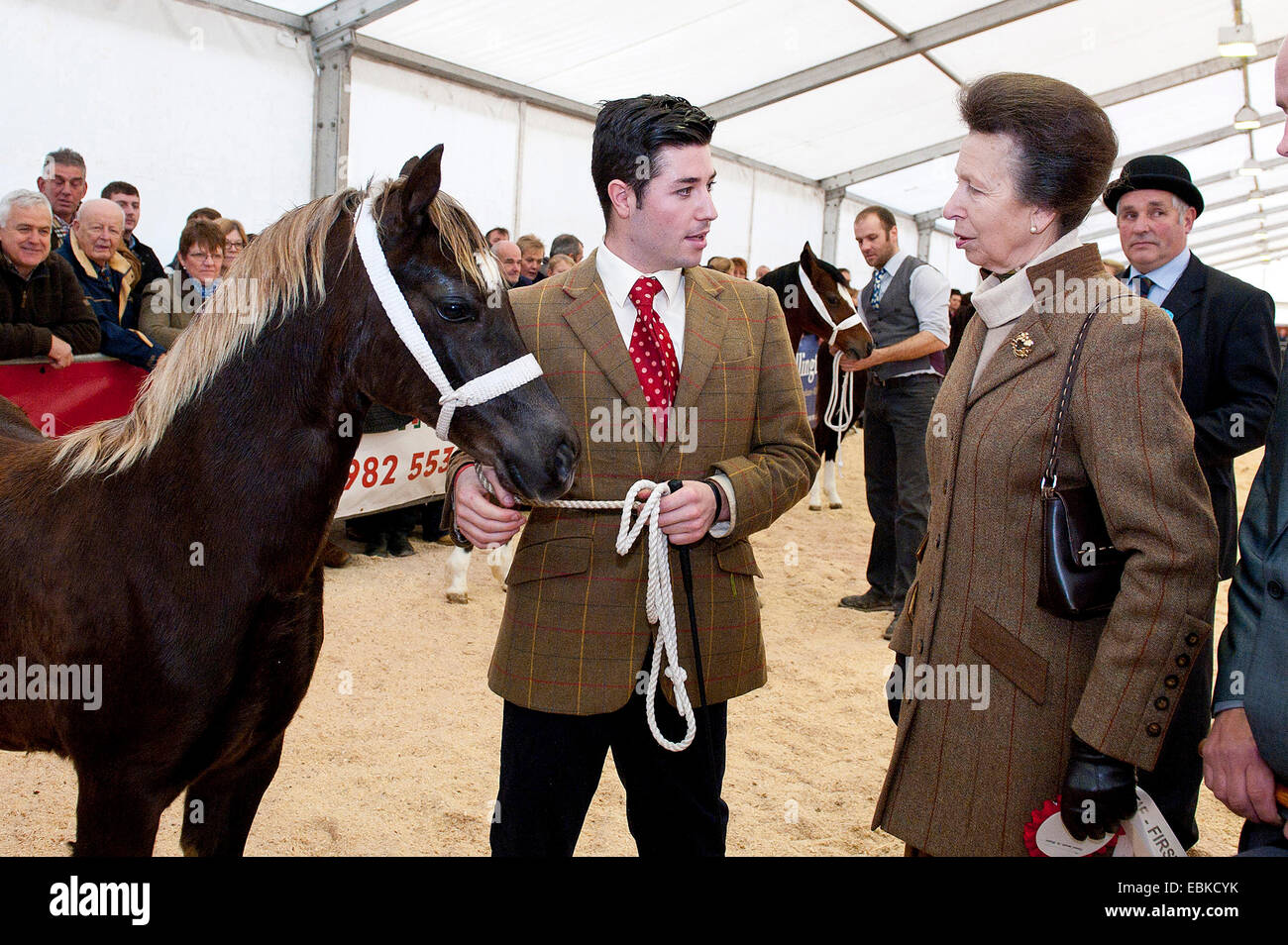 Visits the royal welsh showground hi-res stock photography and images ...