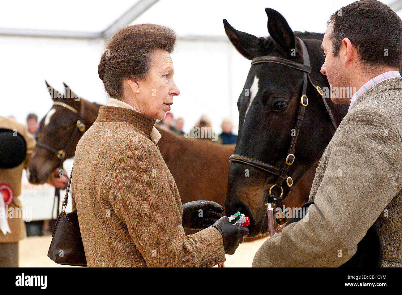 Visits the royal welsh showground hi-res stock photography and images ...