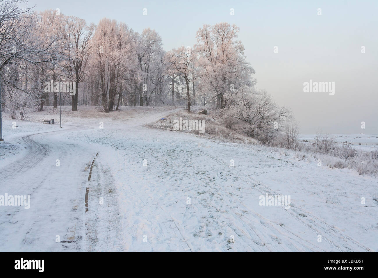 Winter landscape with frost and snow Stock Photo - Alamy