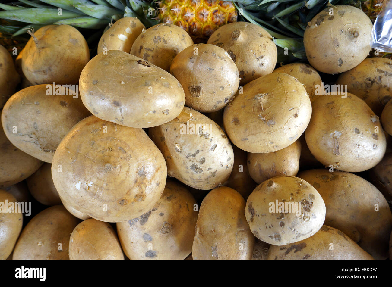 Jicama hi-res stock photography and images - Alamy