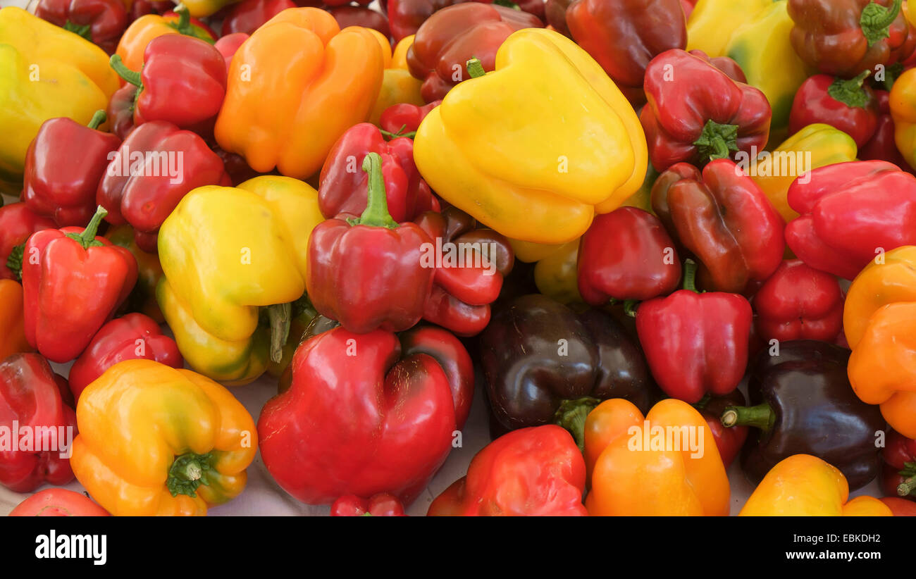 Colorful bell peppers Stock Photo - Alamy