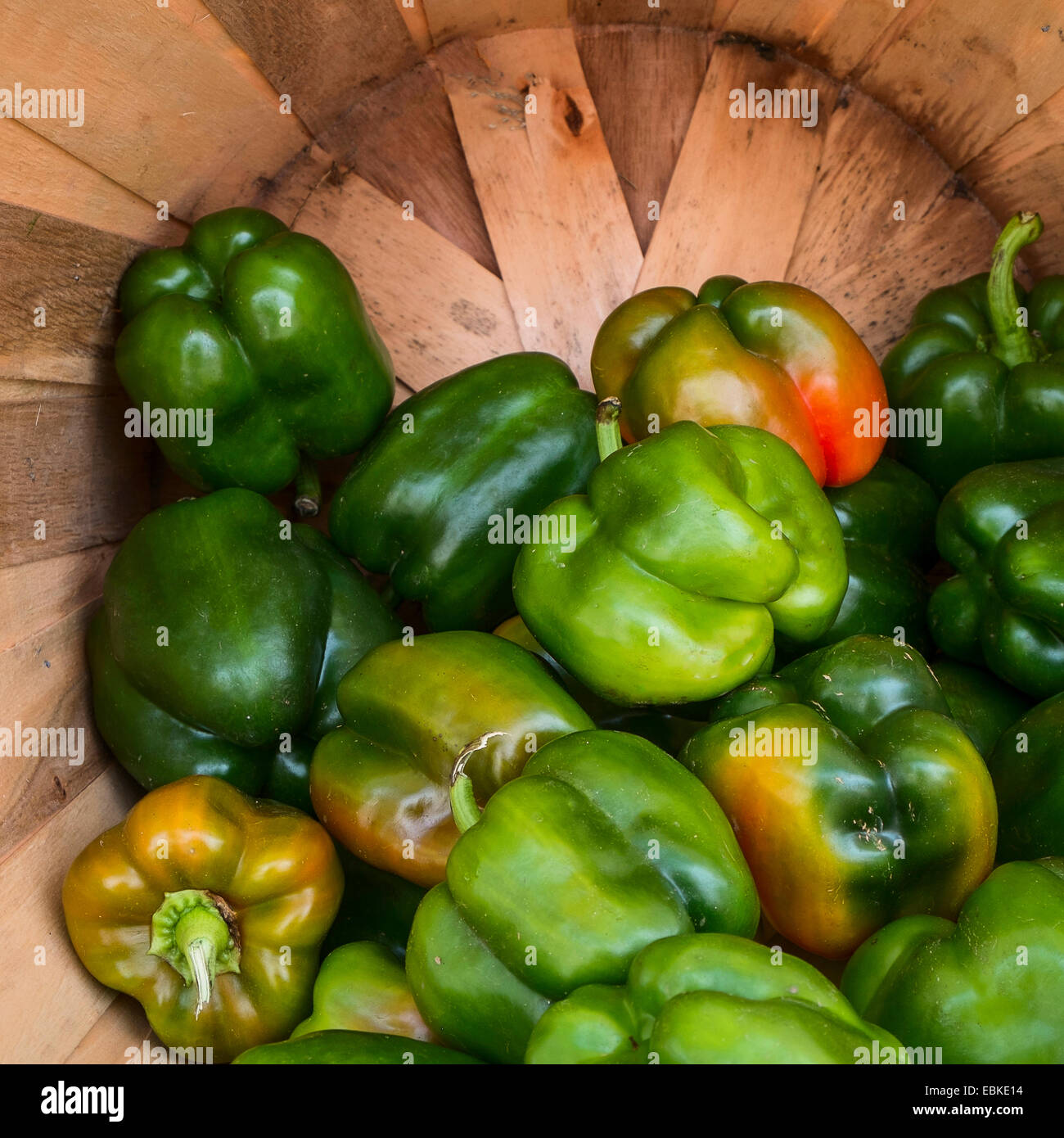 Green bell peppers hi-res stock photography and images - Alamy