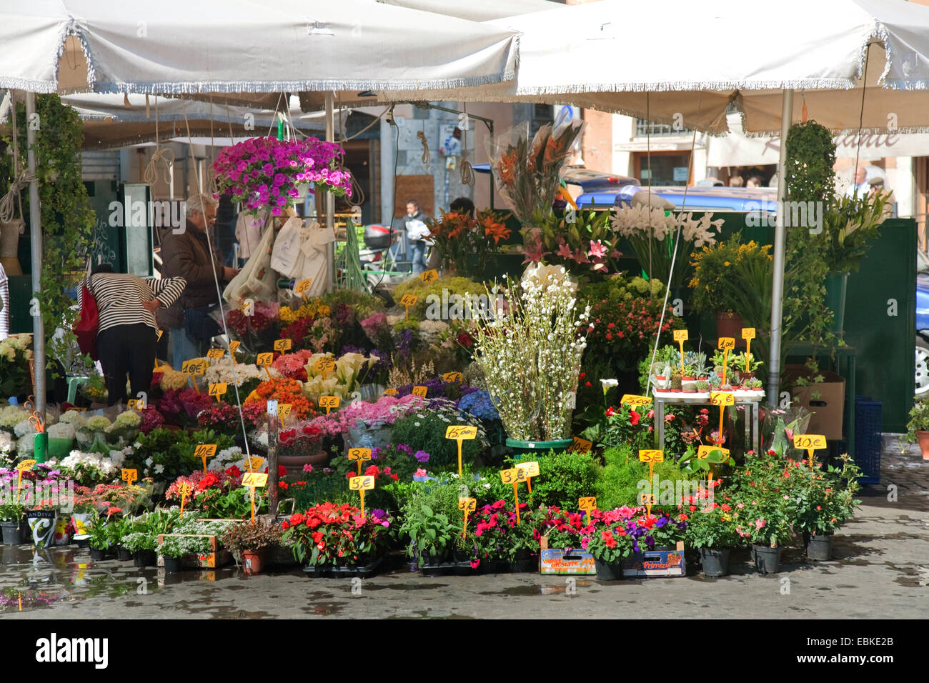market stand of flowers on the roman Campo de Fiori, Italy, Rome Stock ...