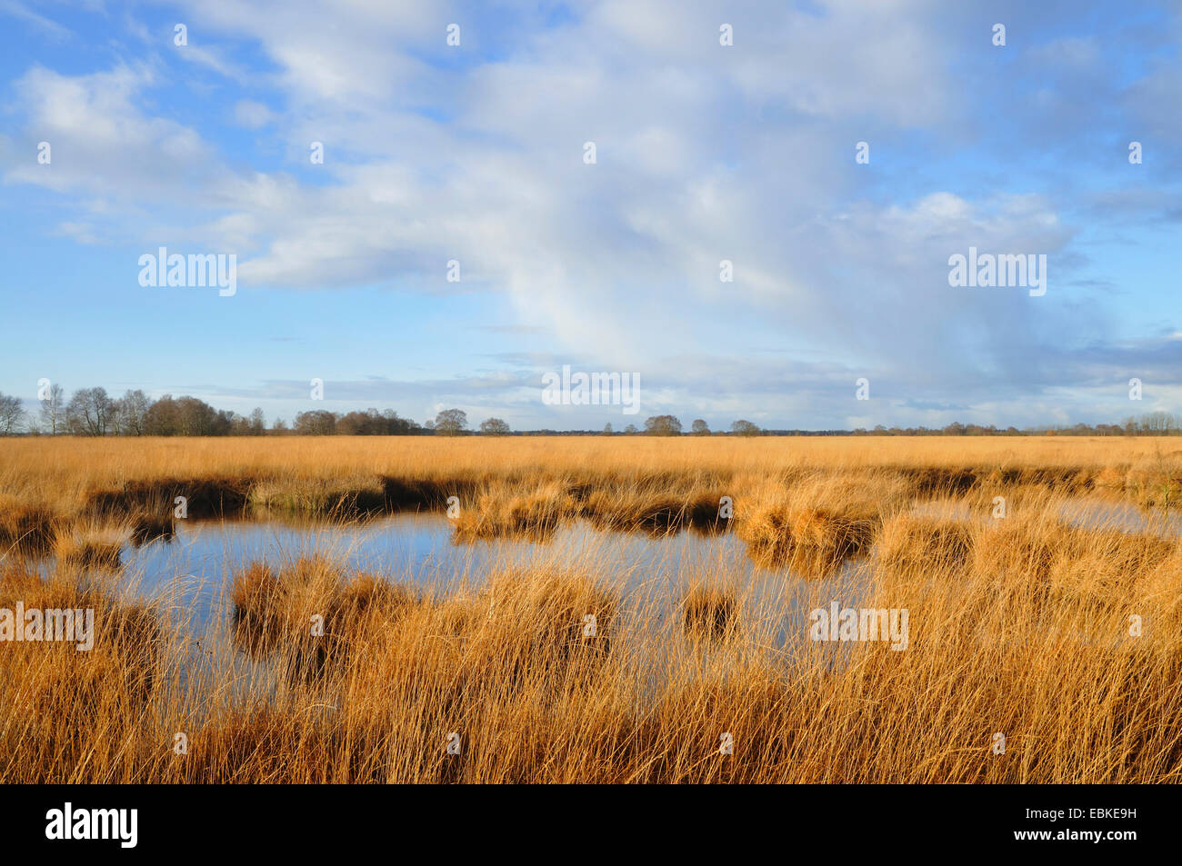Moor Landscape With Lake And Cloudy Sky High Resolution Stock ...