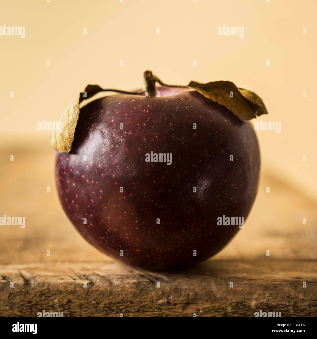 Studio shot of purple apple Stock Photo - Alamy