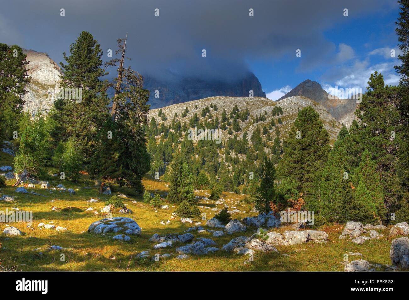 Natural park fanes sennes hi-res stock photography and images - Alamy