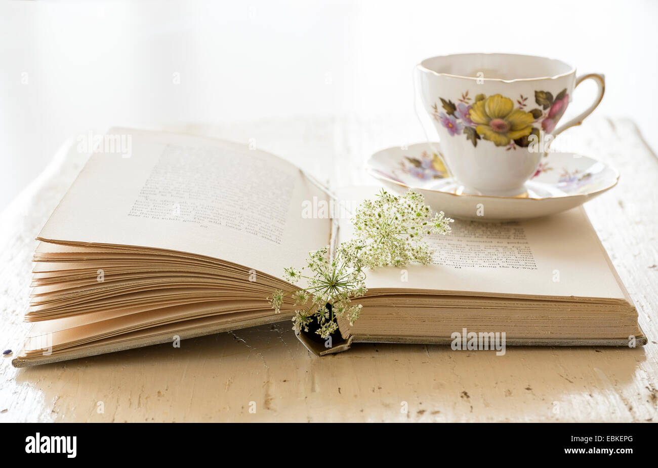 Teacup and book hi-res stock photography and images - Alamy