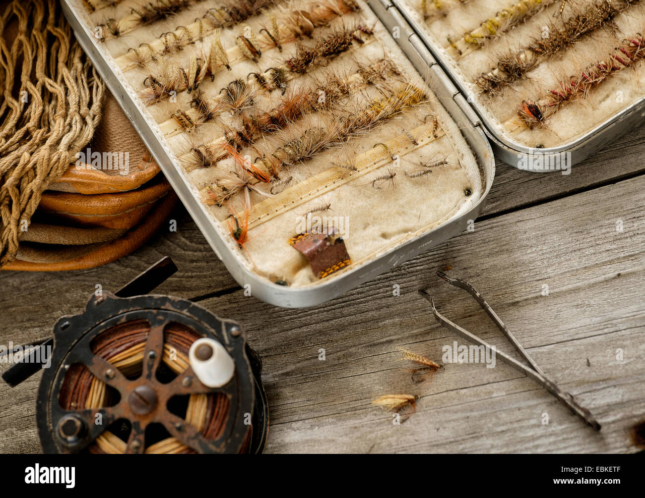 Antique fly hi-res stock photography and images - Alamy