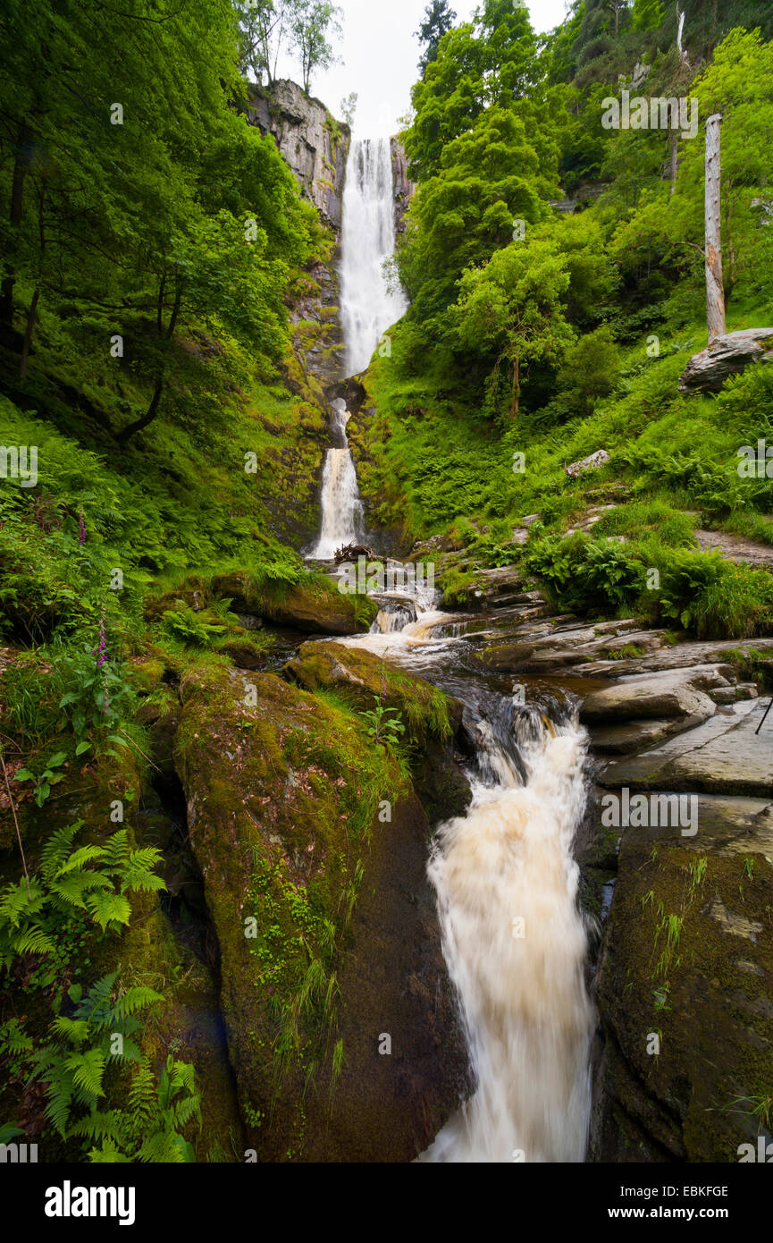 Pistyll Rhaeadr waterfall, Powys, Wales Stock Photo - Alamy
