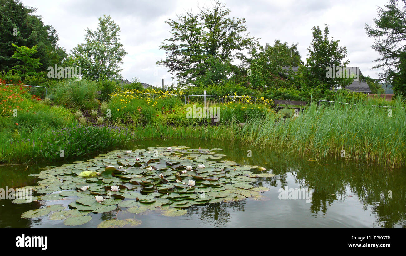 Habitats ponds hi-res stock photography and images - Alamy