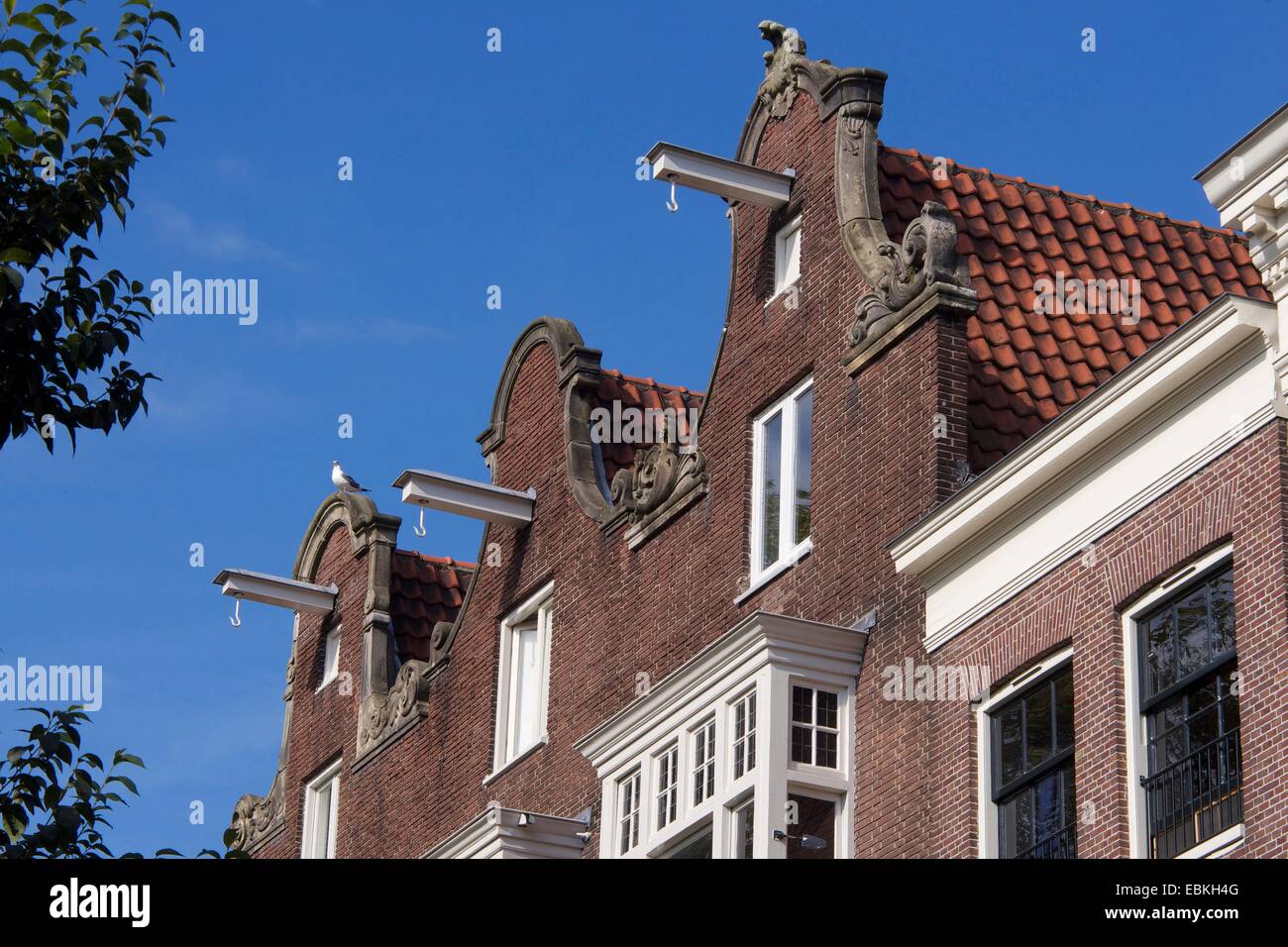 Europe netherlands amsterdam row houses hi-res stock photography and ...