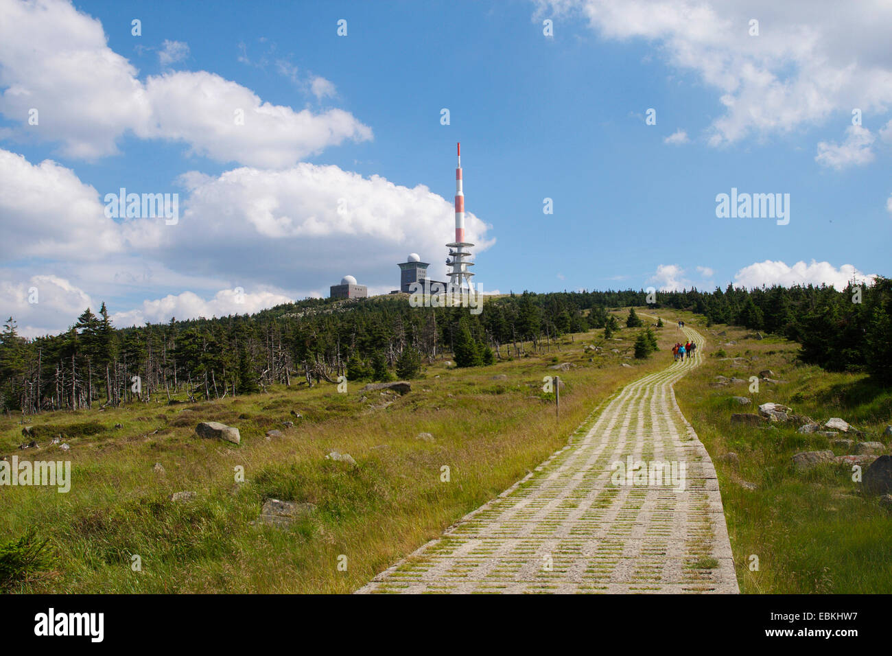 path to Brocken summit, Germany, Saxony-Anhalt Stock Photo - Alamy