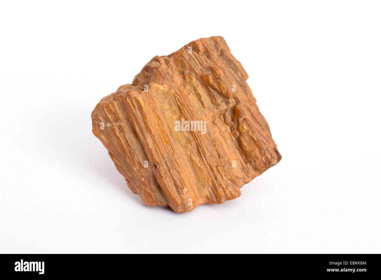 silicified piece of wood polished by wind, Morocco Stock Photo - Alamy