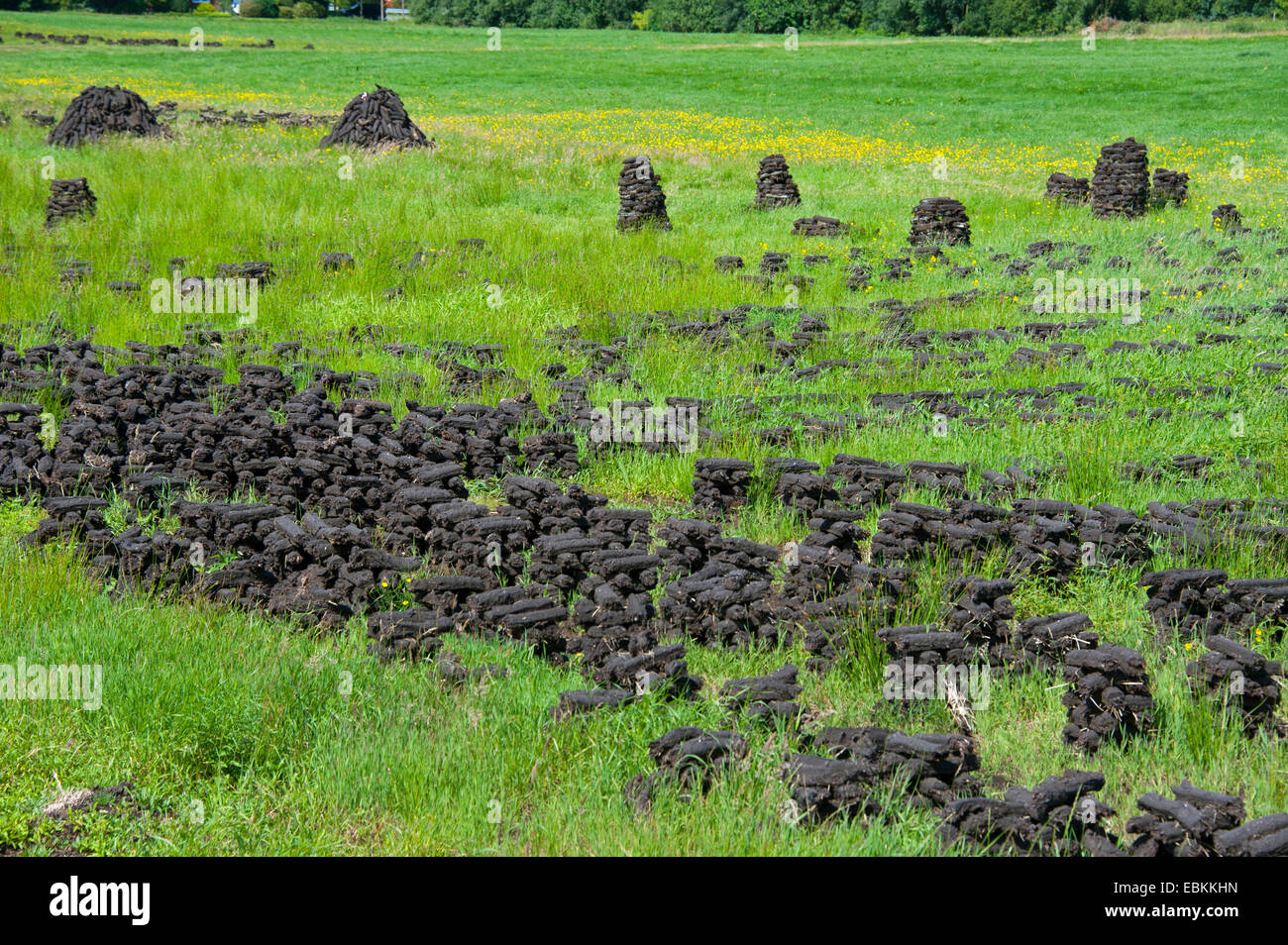 Lower basket pit hi-res stock photography and images - Alamy