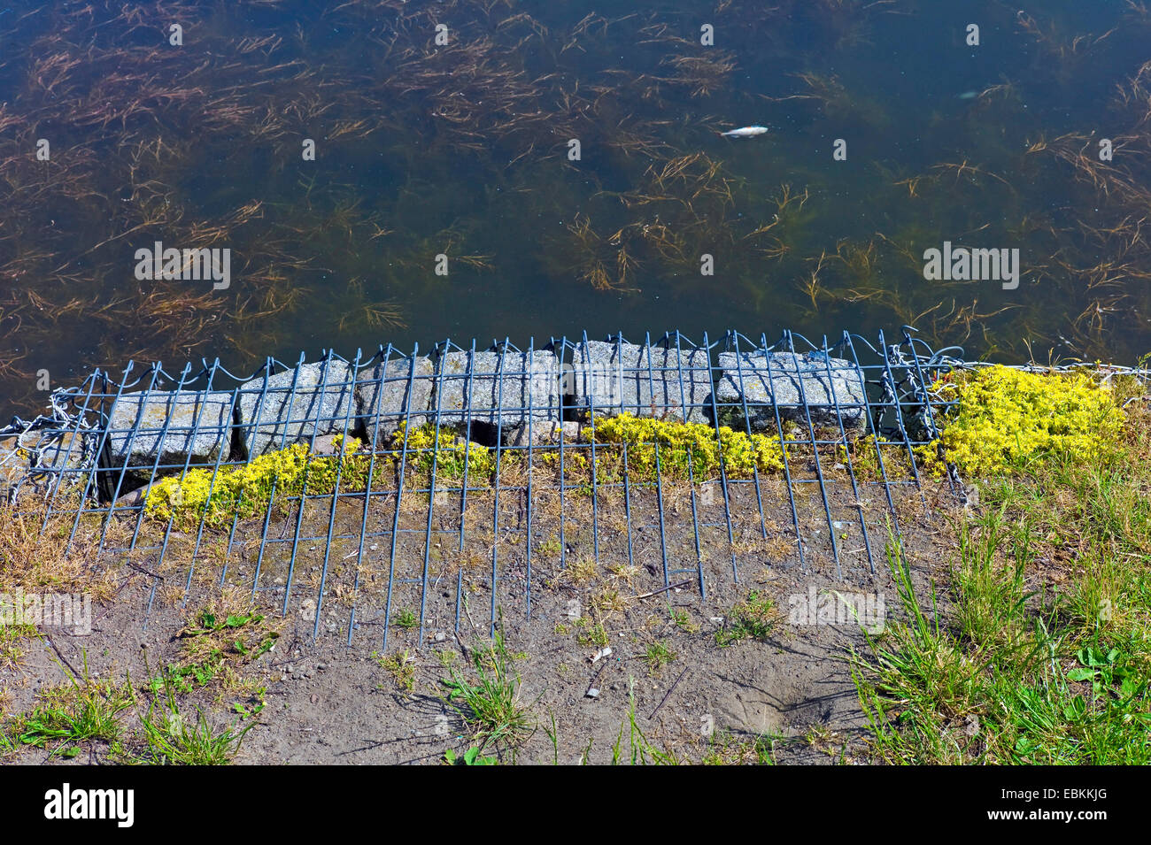 Shore protection hi-res stock photography and images - Alamy