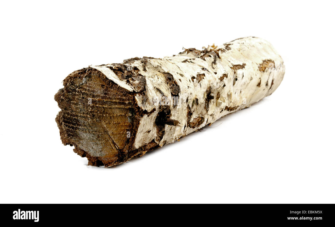 birch log isolated on the white background Stock Photo - Alamy