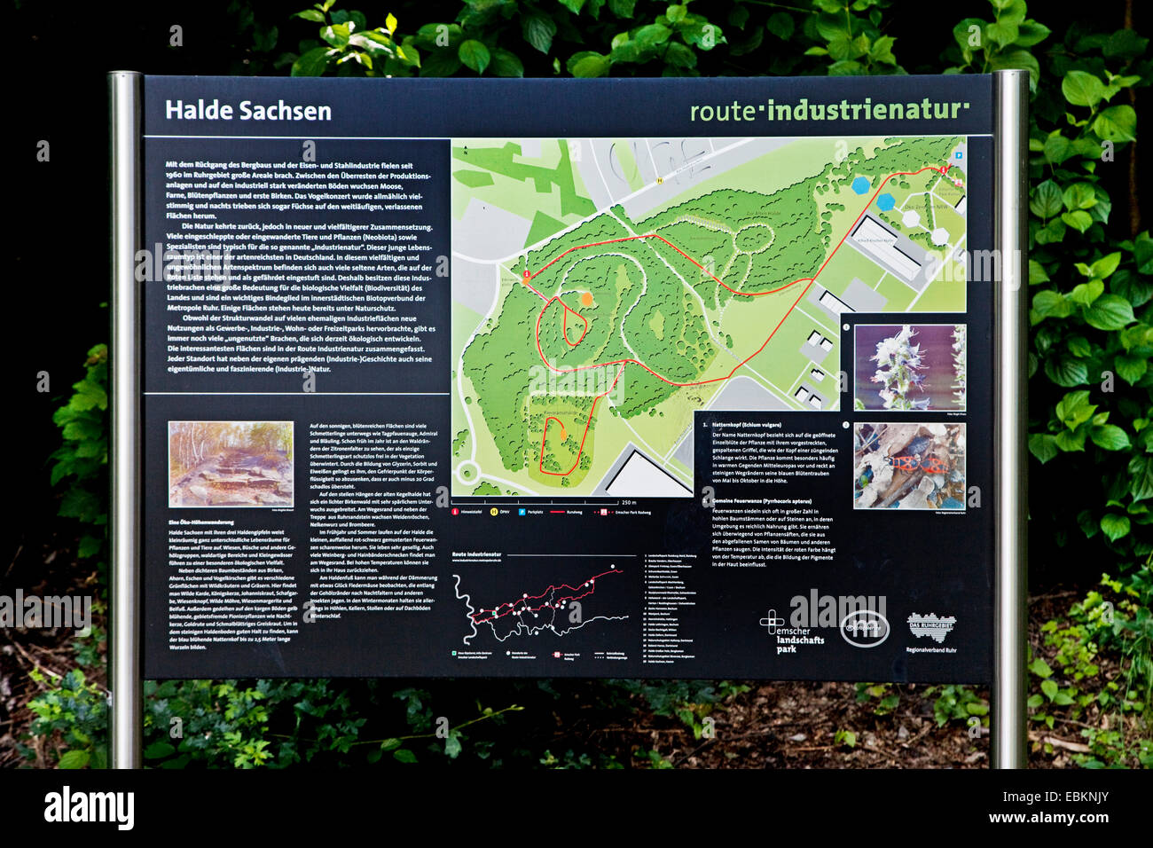 Stockpile sign hi-res stock photography and images - Alamy