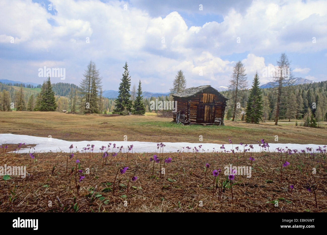 Spring landscapes flowers hi-res stock photography and images - Alamy