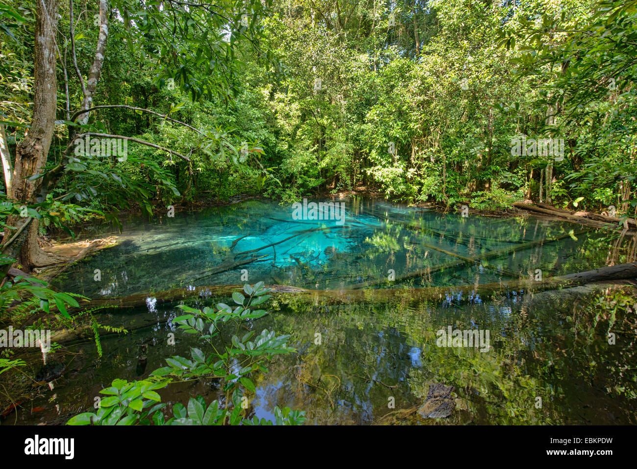 The Blue Crystal pool at the Sa Morakot Emerald Pool in Krabi, Thailand ...