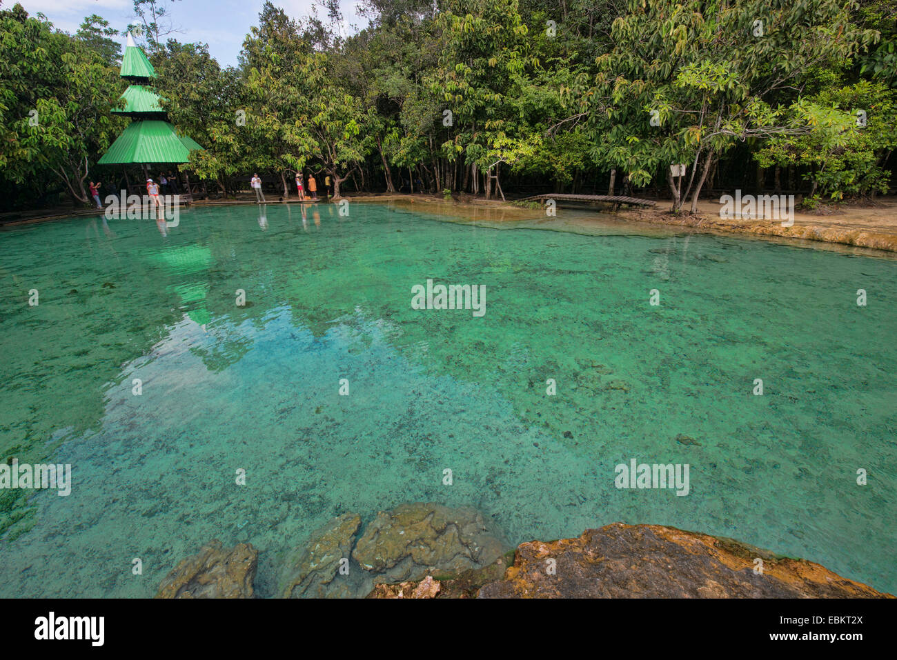 The Sa Morakot Emerald Pool in Krabi, Thailand Stock Photo - Alamy