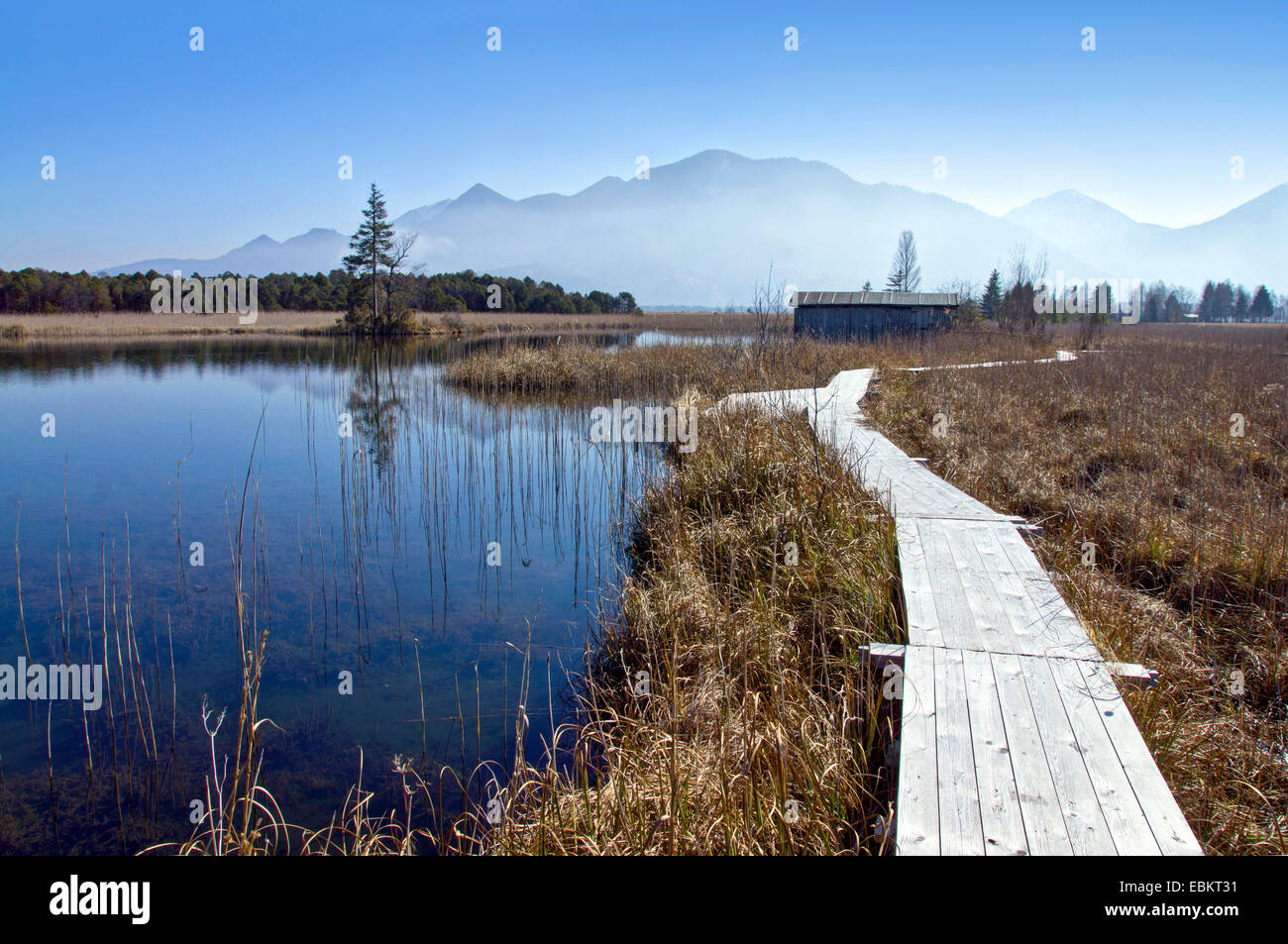 wooden walkway at Krebssee of Murnauer Moos, Germany, Bavaria ...