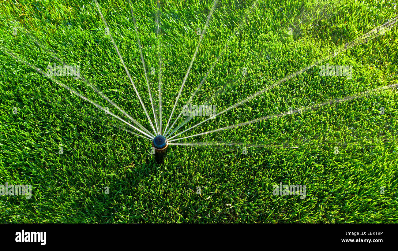 Hot dry summer irrigation system hi-res stock photography and images ...