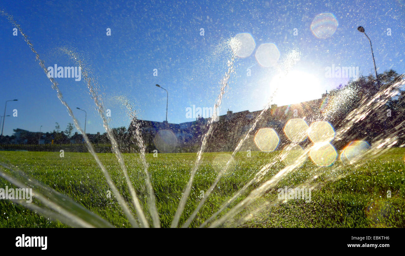 spray irrigation on a lawn, Germany Stock Photo - Alamy