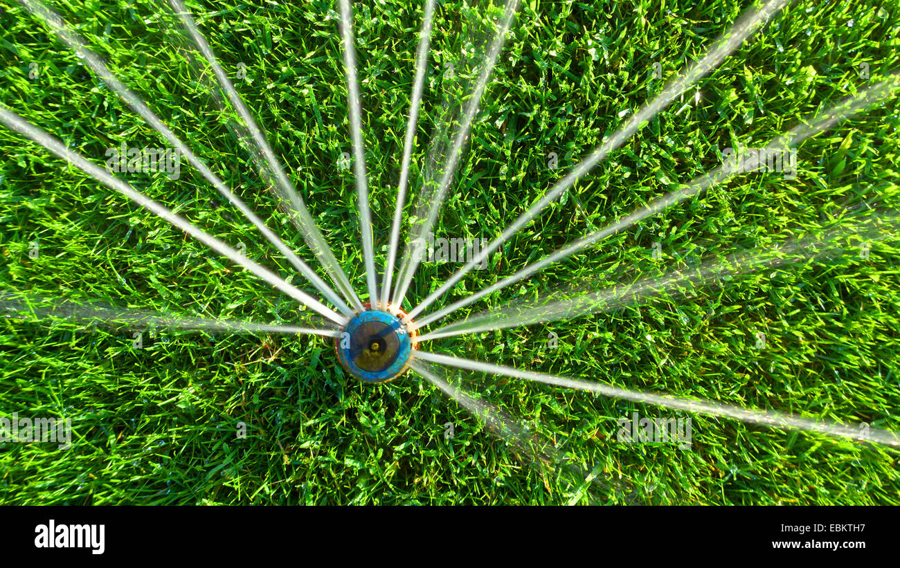 Sprinkler spray water on lawn hi-res stock photography and images - Alamy