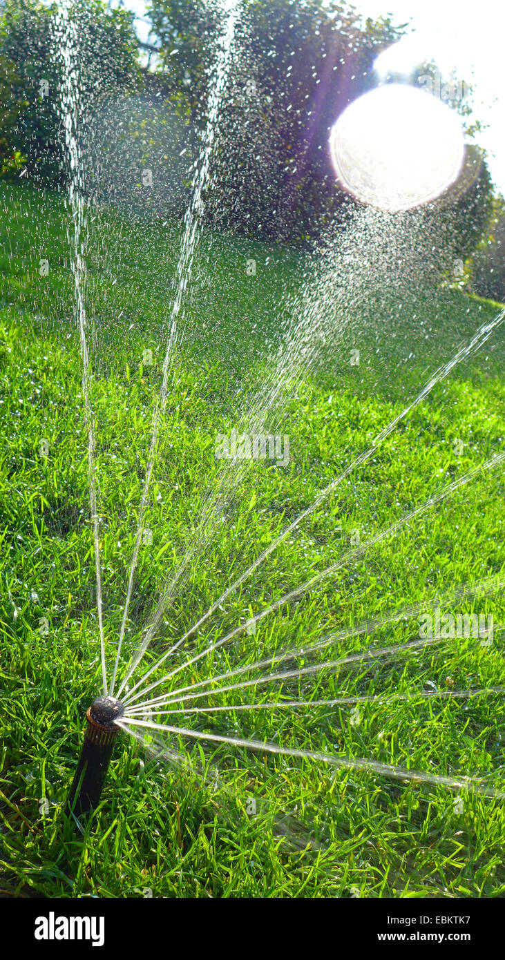 spray irrigation on a lawn, Germany Stock Photo - Alamy