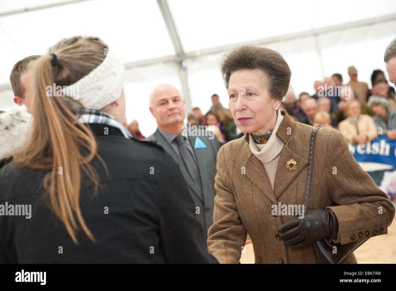 Llanelwedd, Powys, UK. 2nd December, 2014. In The Equine Centre ...