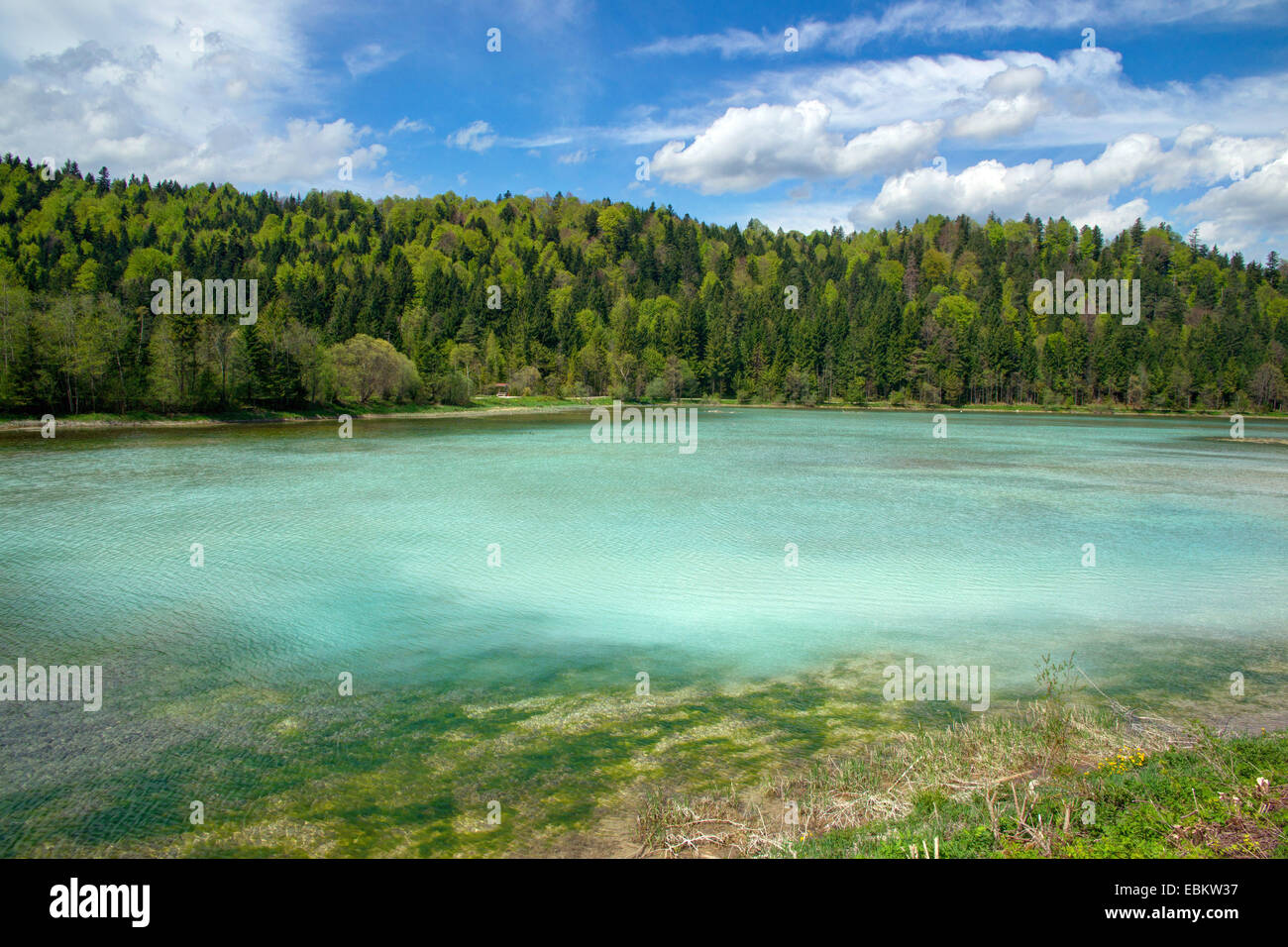 opaque glacier water running into mountain lake, Germany, Bavaria ...