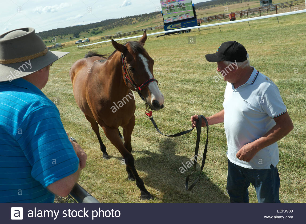Race Horse Owner Stock Photos & Race Horse Owner Stock Images - Alamy
