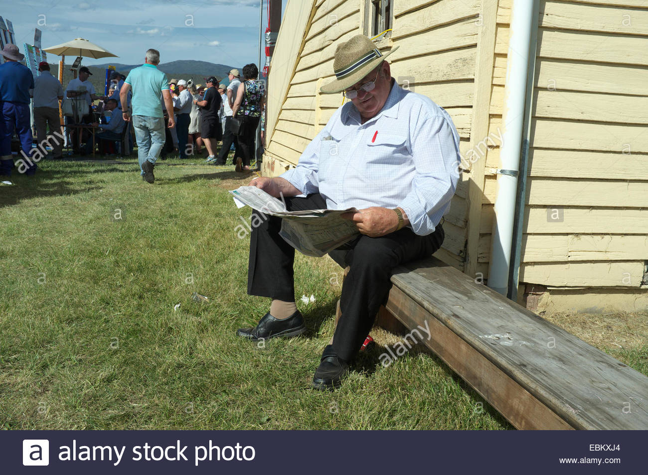 Seated Horse High Resolution Stock Photography and Images - Alamy