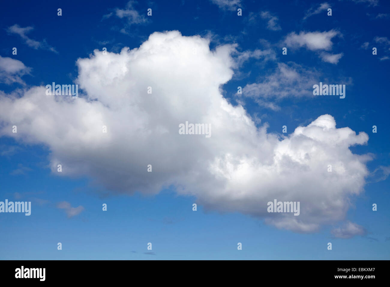 Close-up shot of cloud in blue sky Stock Photo - Alamy