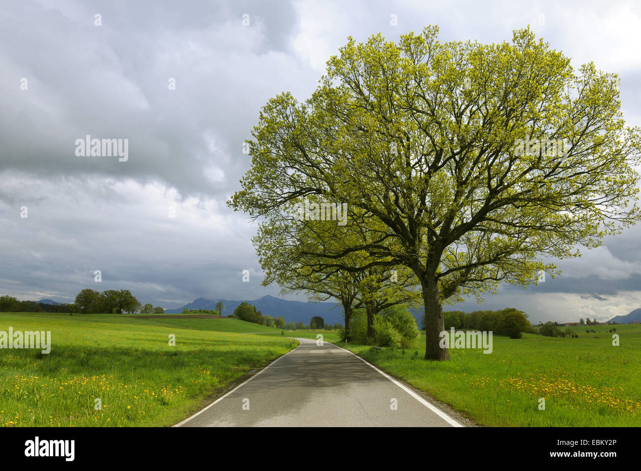 Rural road in bavaria hi-res stock photography and images - Alamy