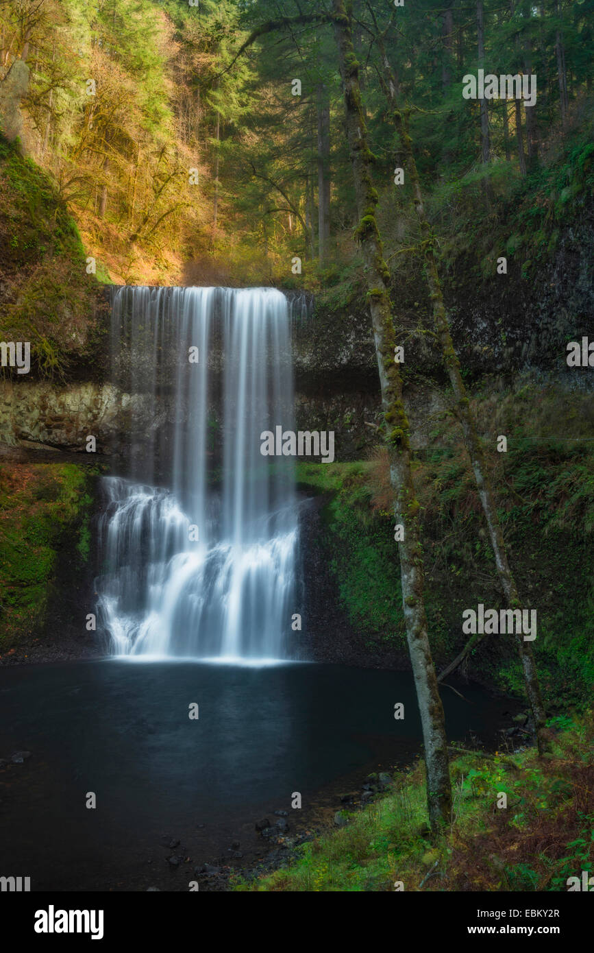 USA, Oregon, Silver Falls State Park, View of waterfall in forest Stock ...