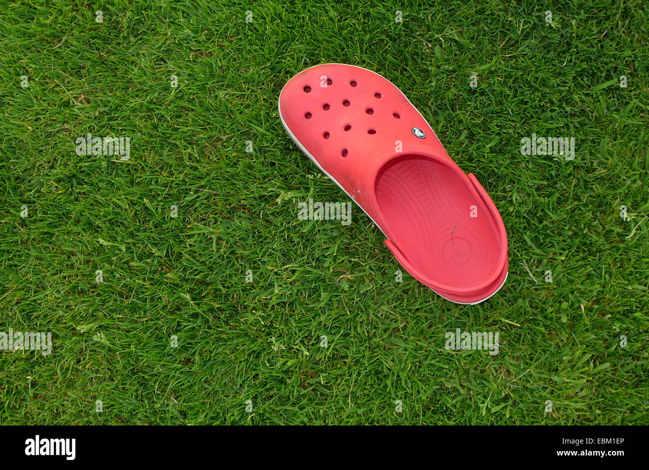 red rubber clog on green lawn, Germany Stock Photo - Alamy