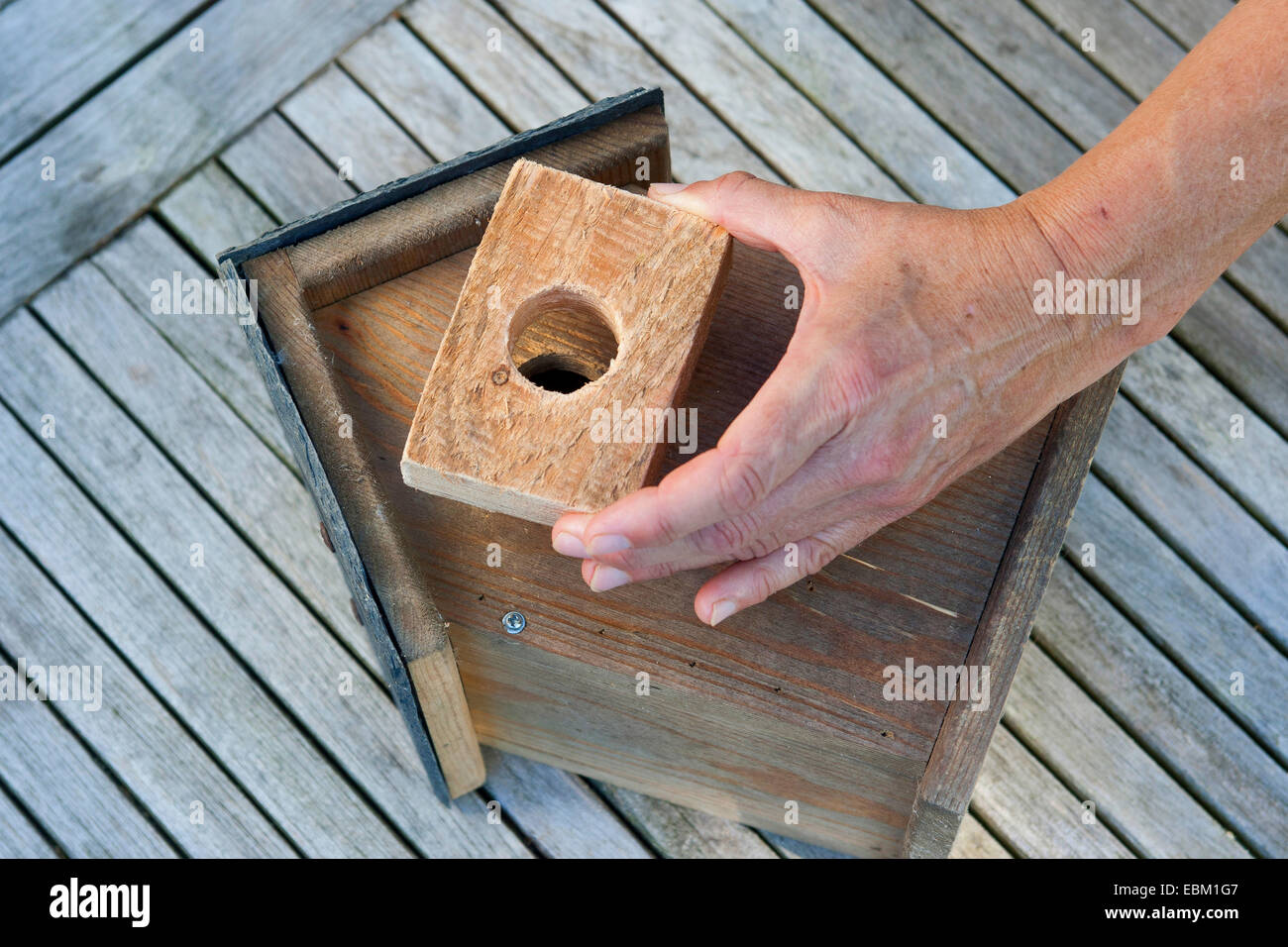 nest box with home-made marten protection, Germany Stock Photo - Alamy