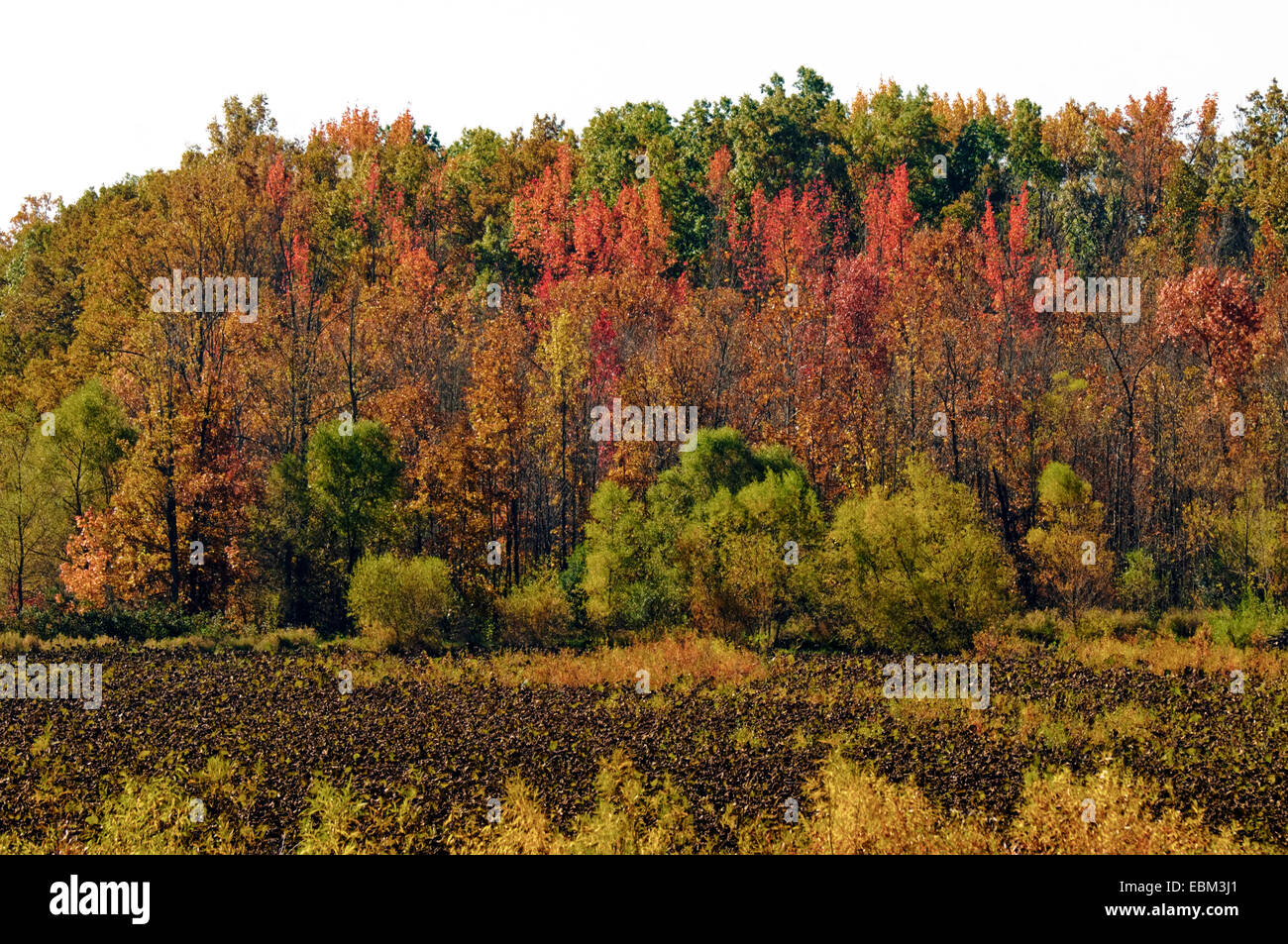Monroe county land hi-res stock photography and images - Alamy