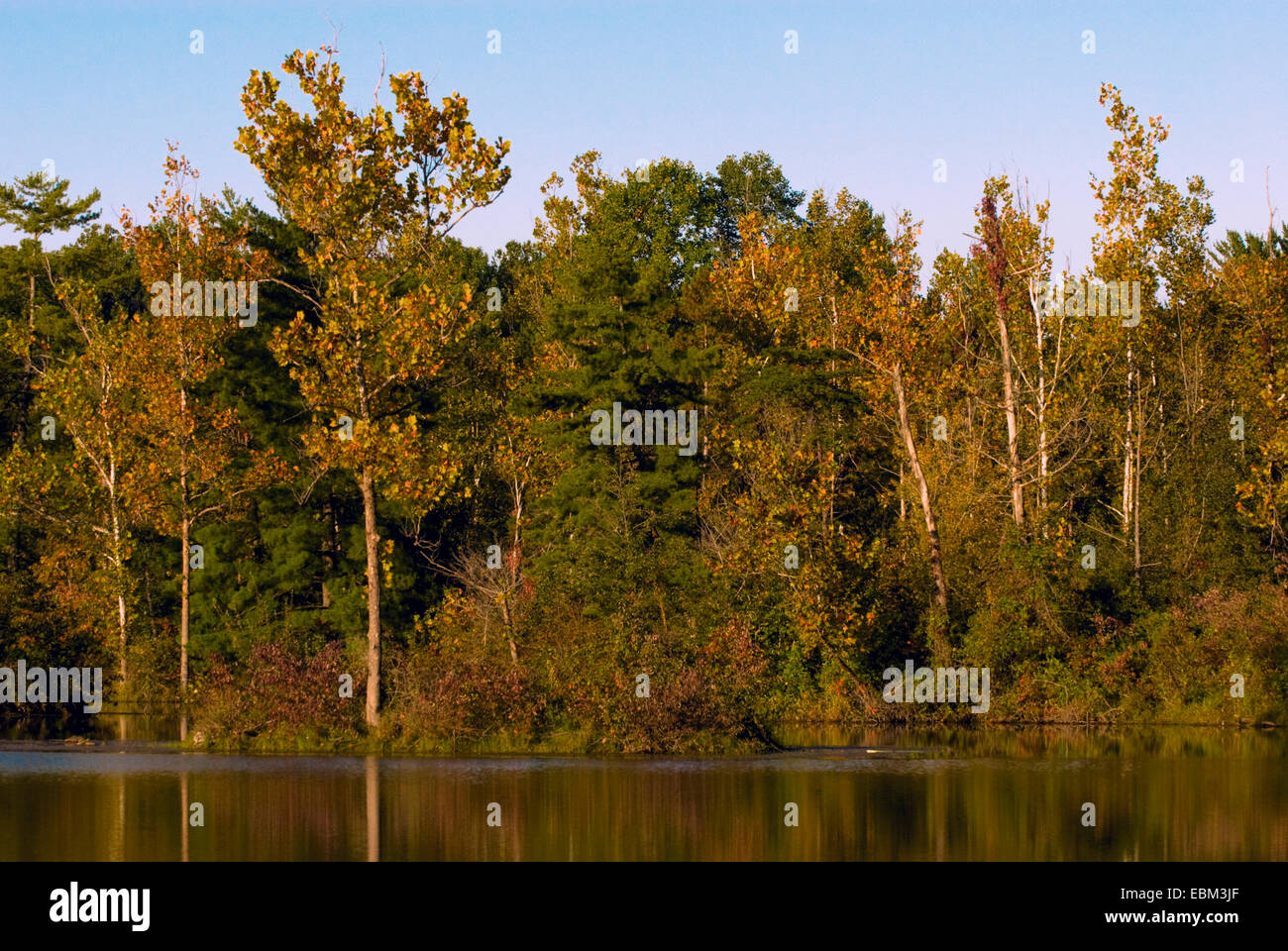 Goose pond indiana hi-res stock photography and images - Alamy