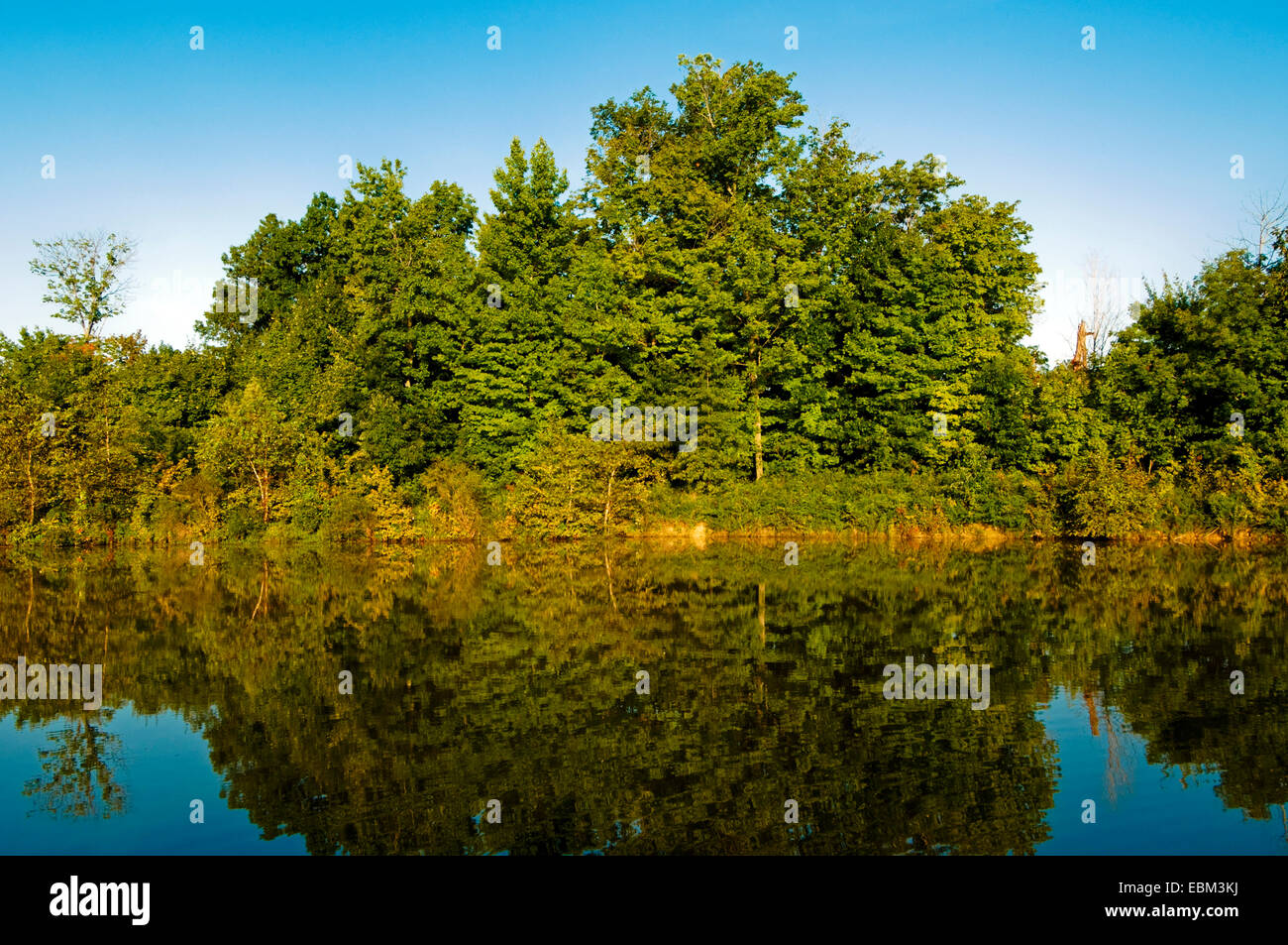 Late summer trees reflecting in the Pakota River, near the Patoka River ...