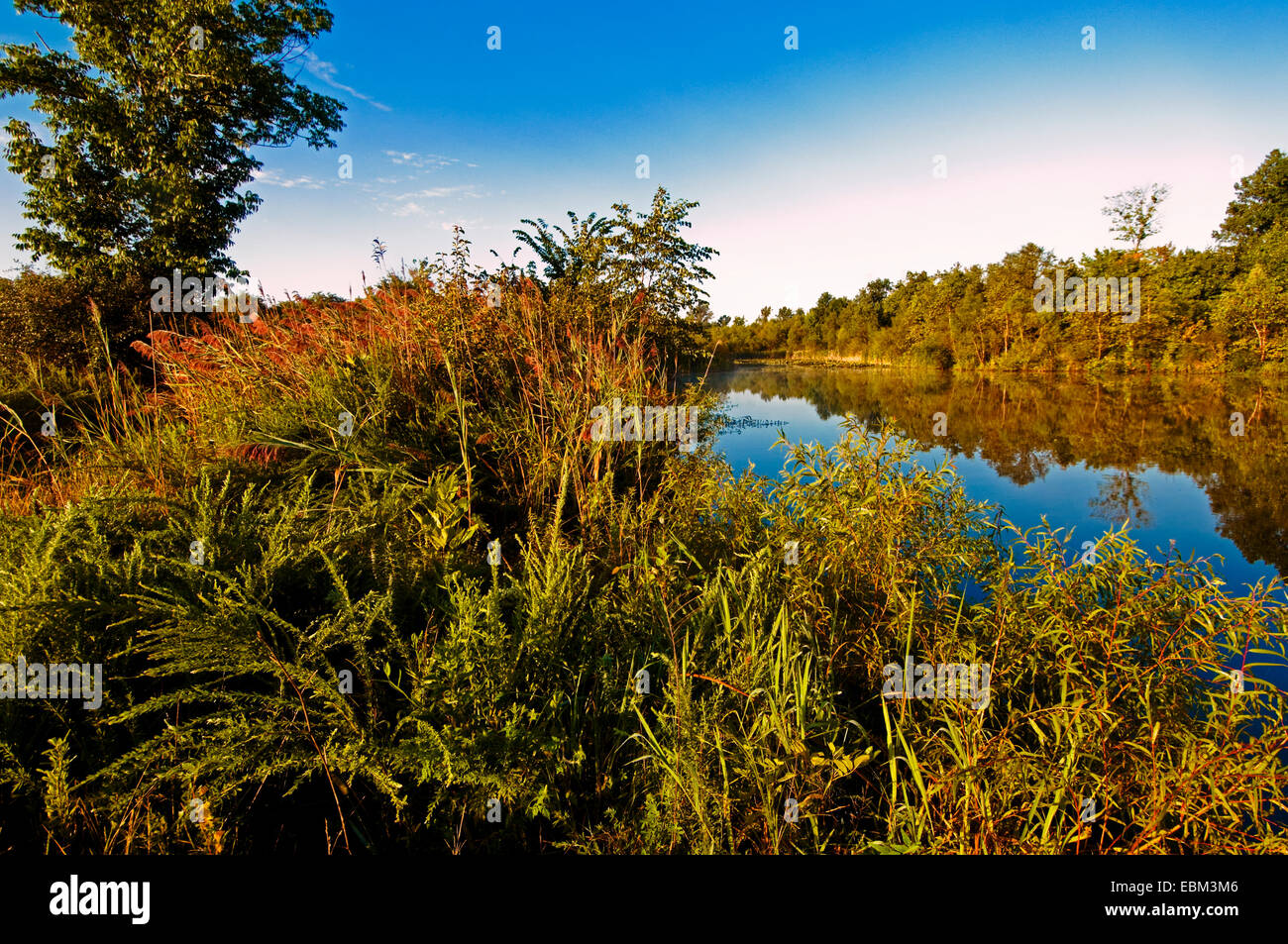 Late summer trees reflecting in the Pakota River, near the Patoka River ...