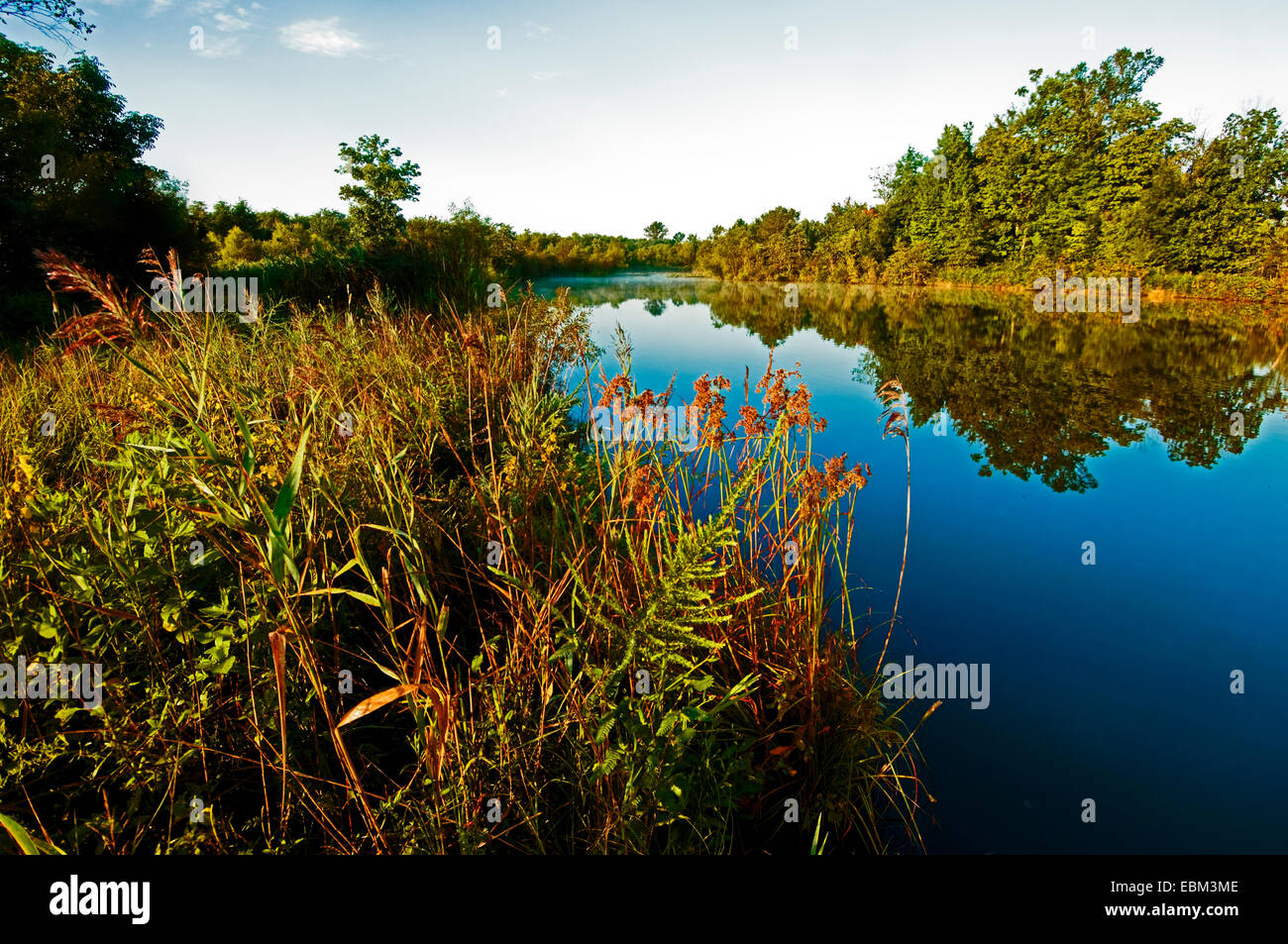 Late summer trees reflecting in the Pakota River, near the Patoka River ...