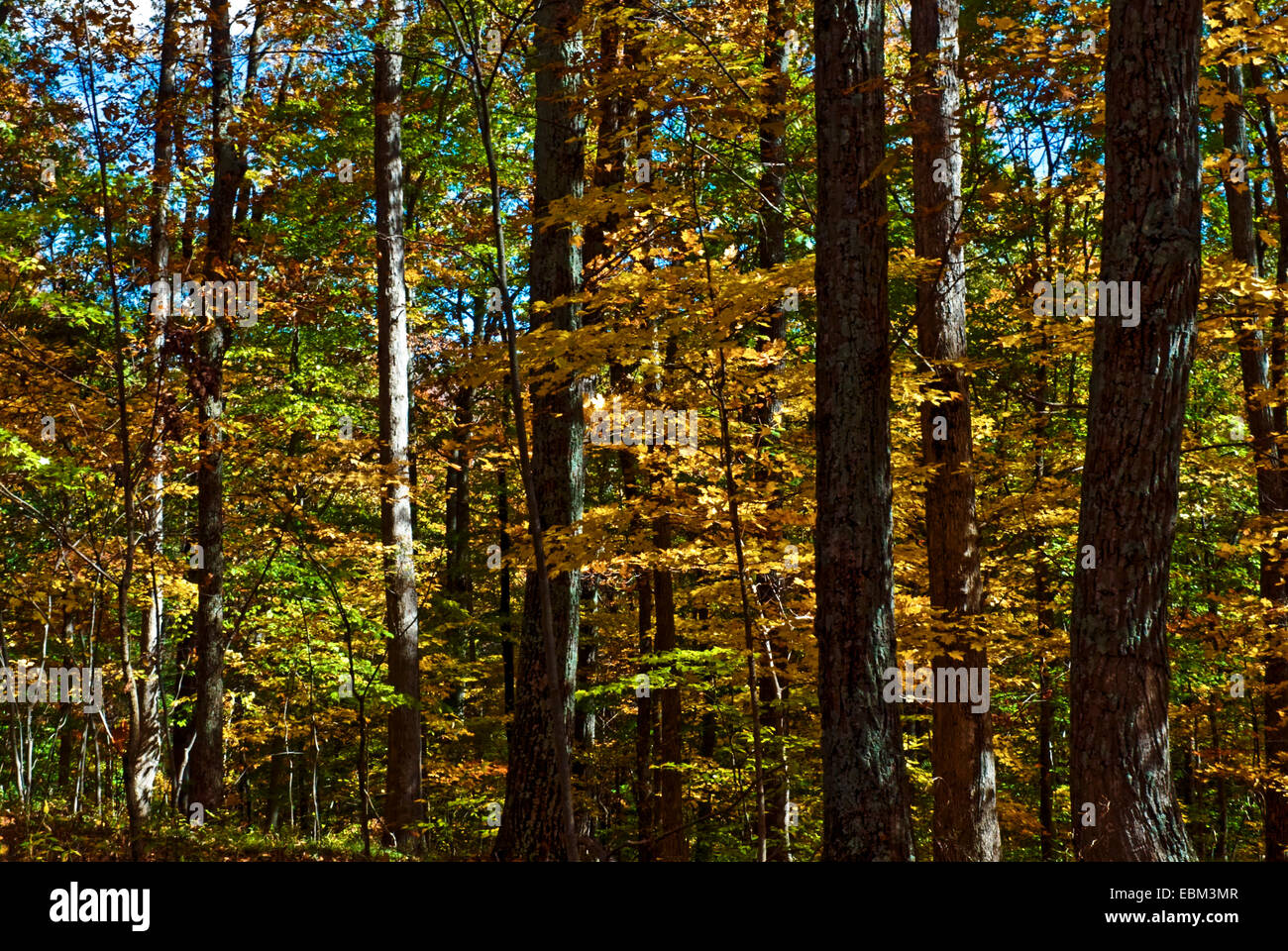 Nashville indiana hi-res stock photography and images - Alamy