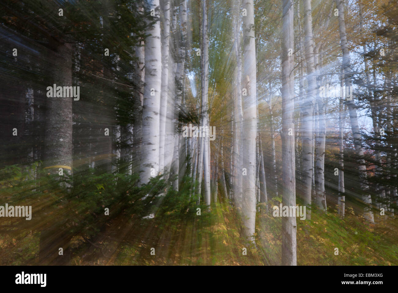 Selective zoom hi-res stock photography and images - Alamy