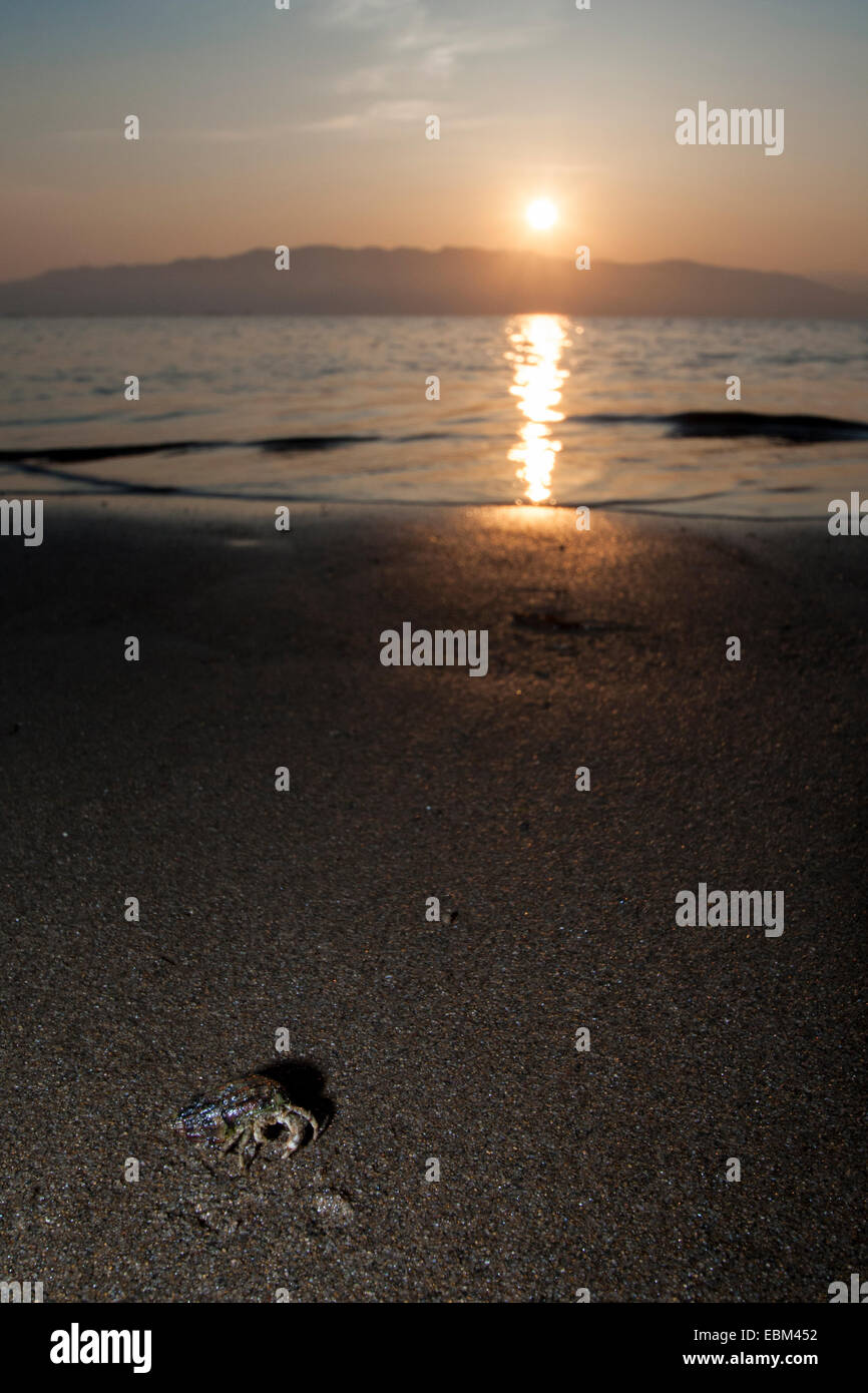 hermit crab and sunset Stock Photo - Alamy