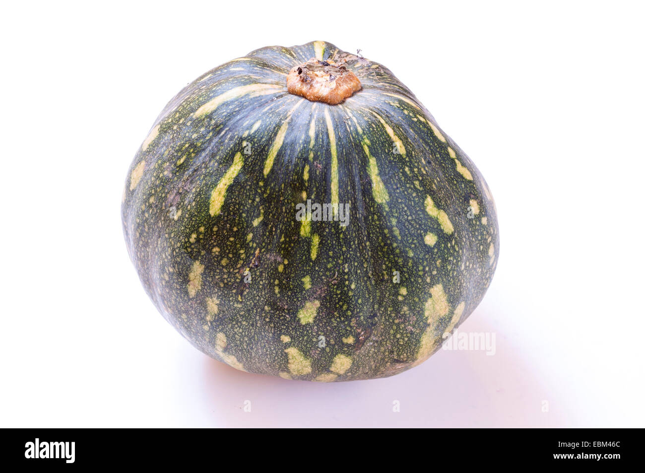 Cucurbita stem hi-res stock photography and images - Alamy