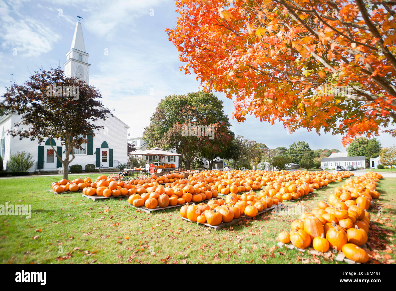 Pumpkin in church yard Stock Photo - Alamy